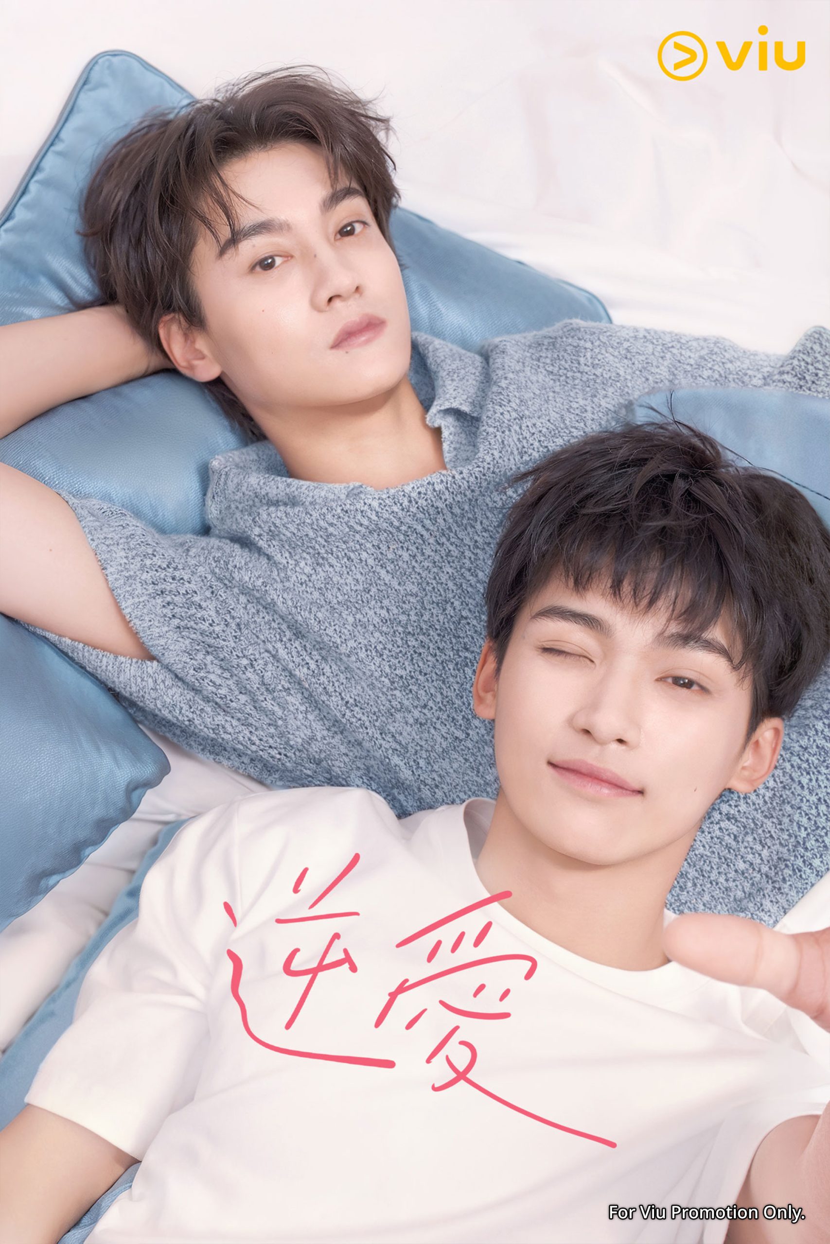 BL陸劇《逆愛》七大看點：梓渝被女飛奇招復仇 霸總田栩寧囉囉攣約上床 – BeautyExchange